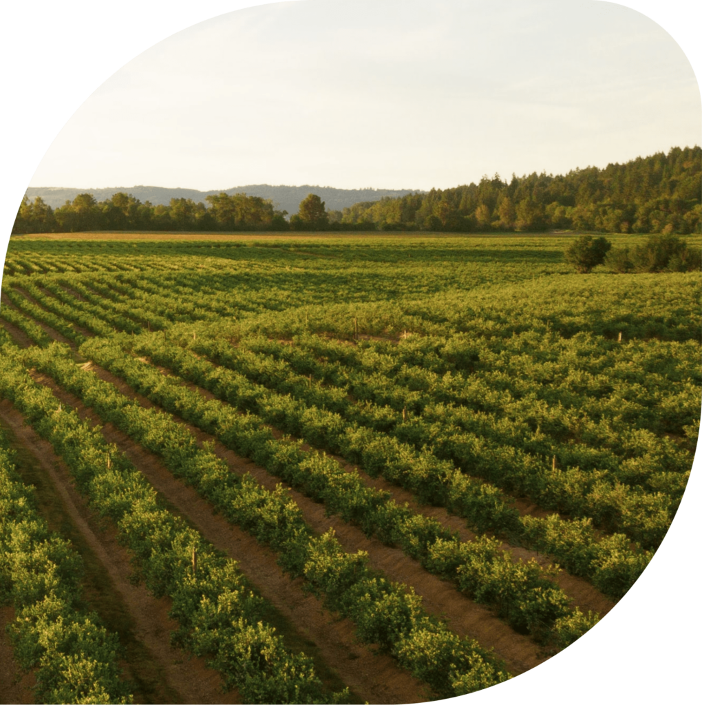 Growing with you. For Life. | csg