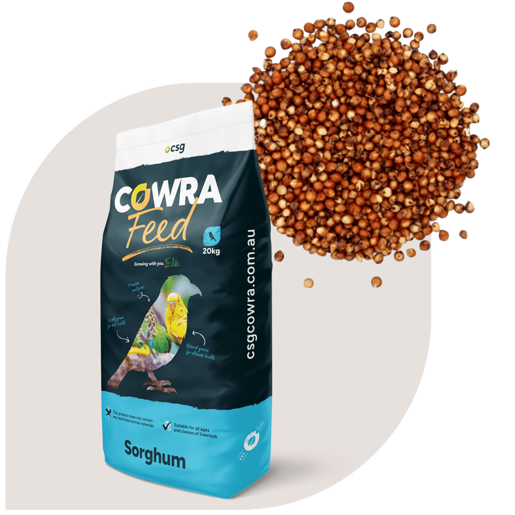 Sorghum | csg