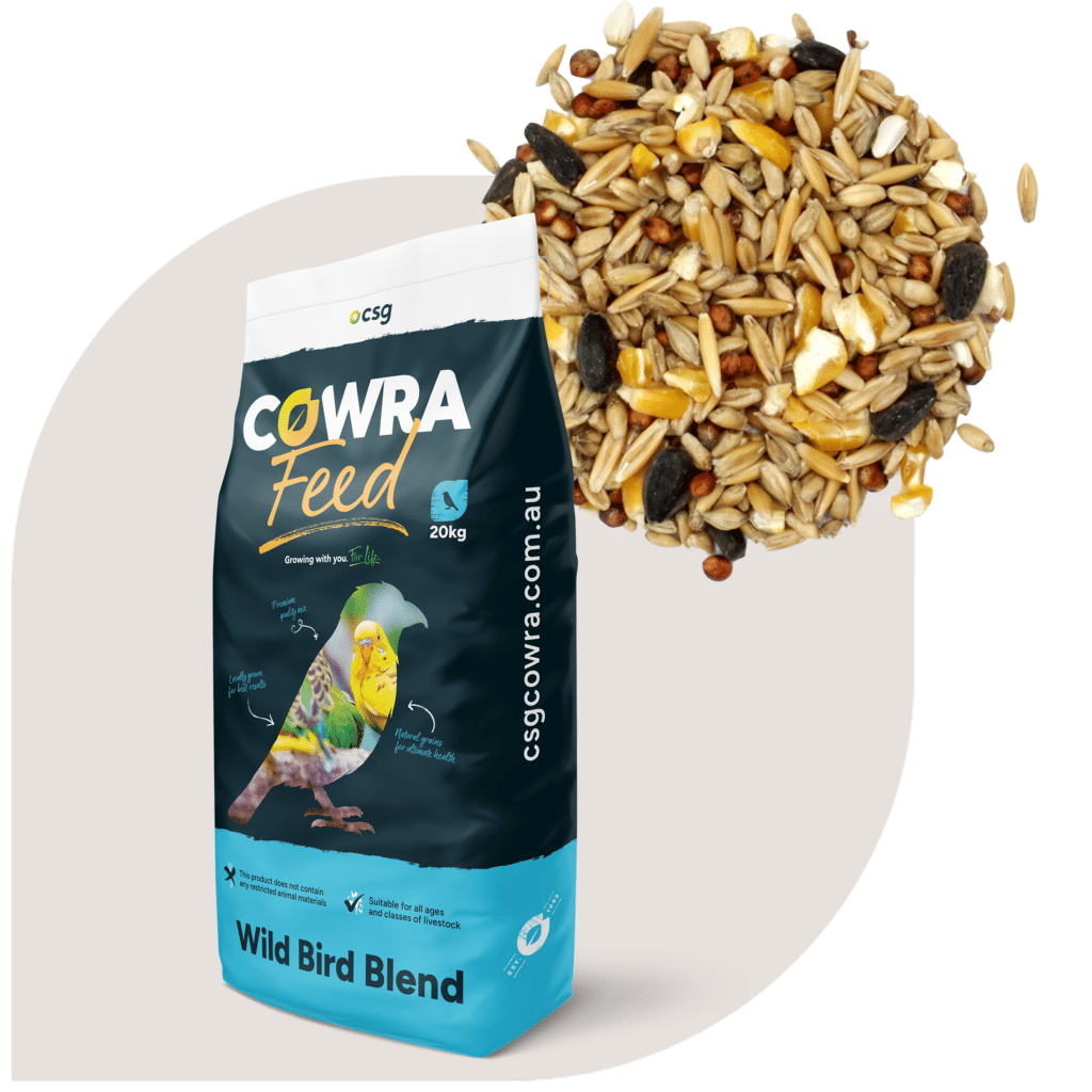 Wild Bird Blend | csg