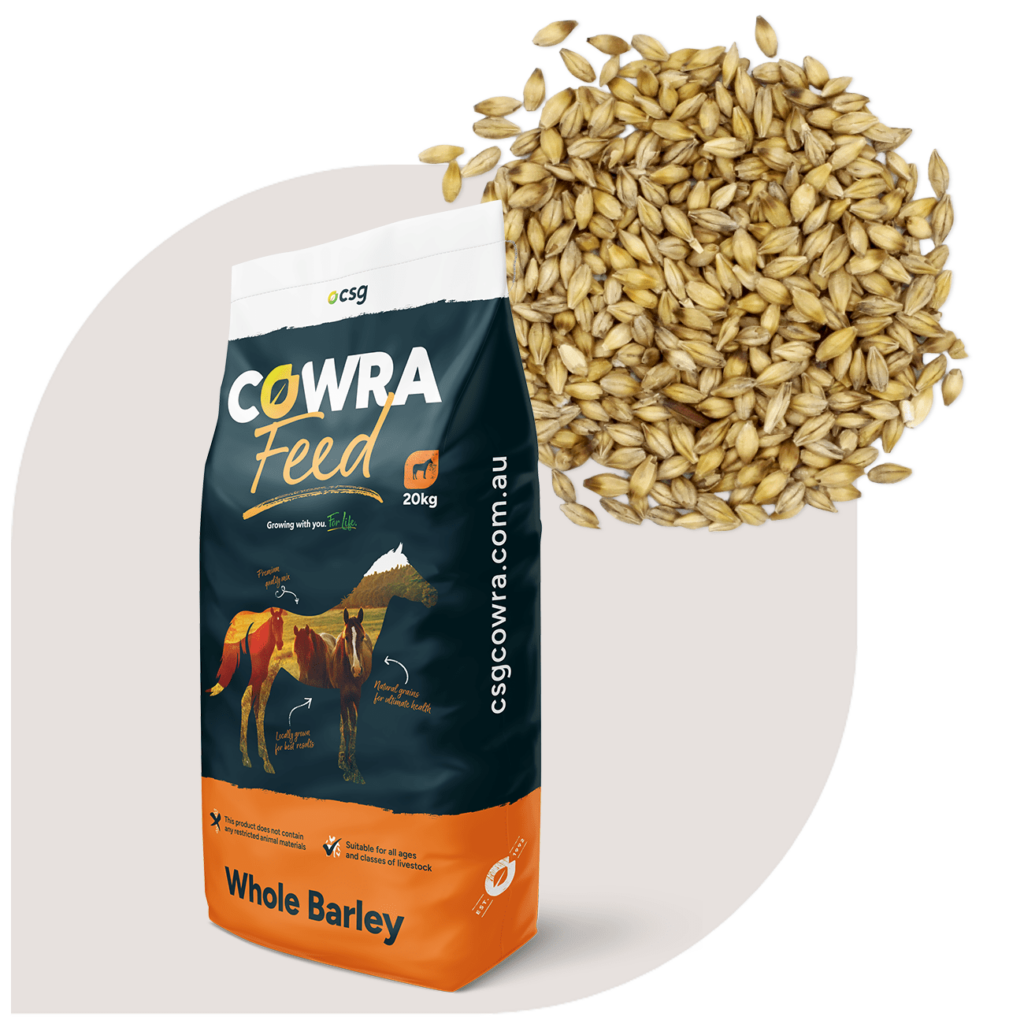 Whole Barley | csg