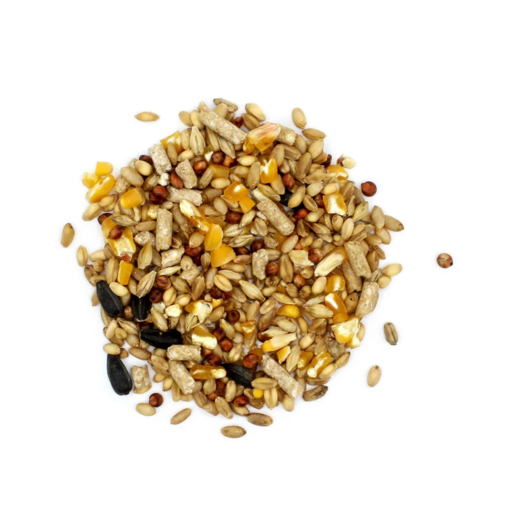 Complete Layer Blend | csg