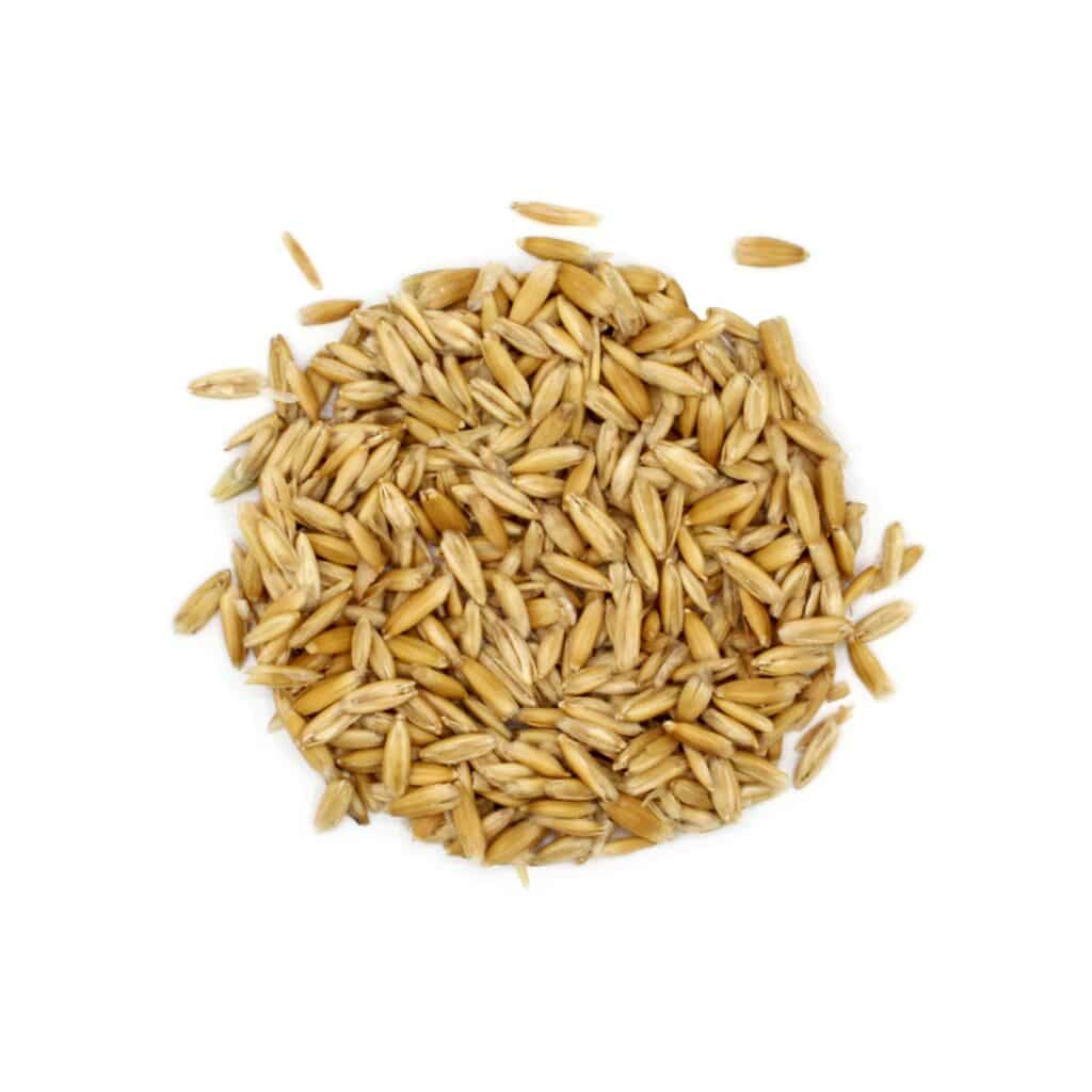 Single Rolled Oats Feed Products | CSG Cowra