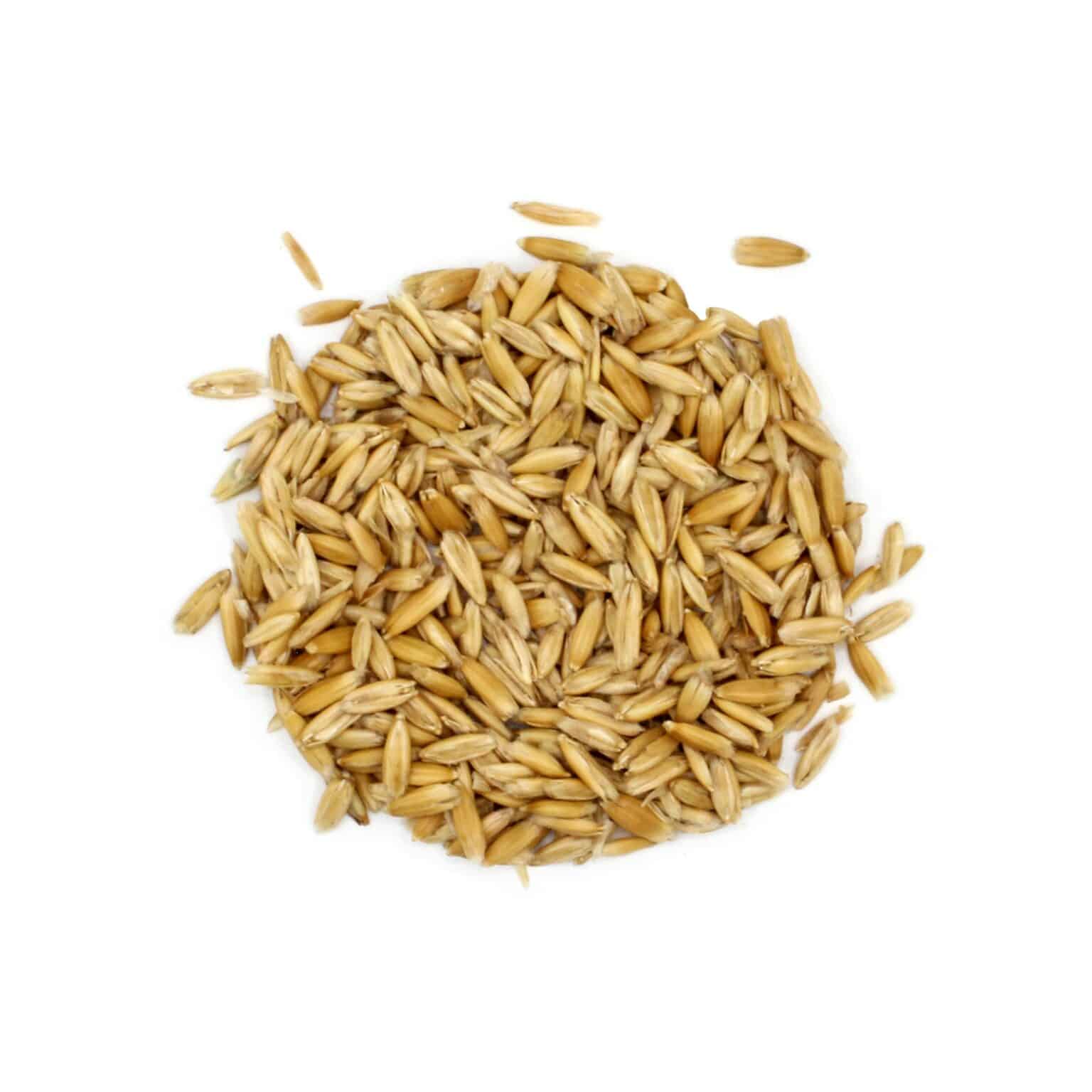 Single Rolled Oats | csg