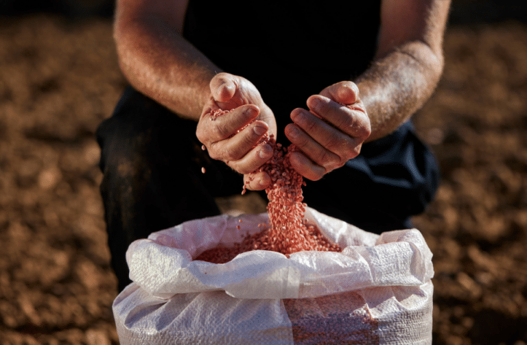 Guide to Chemical Seed Treatments | csg