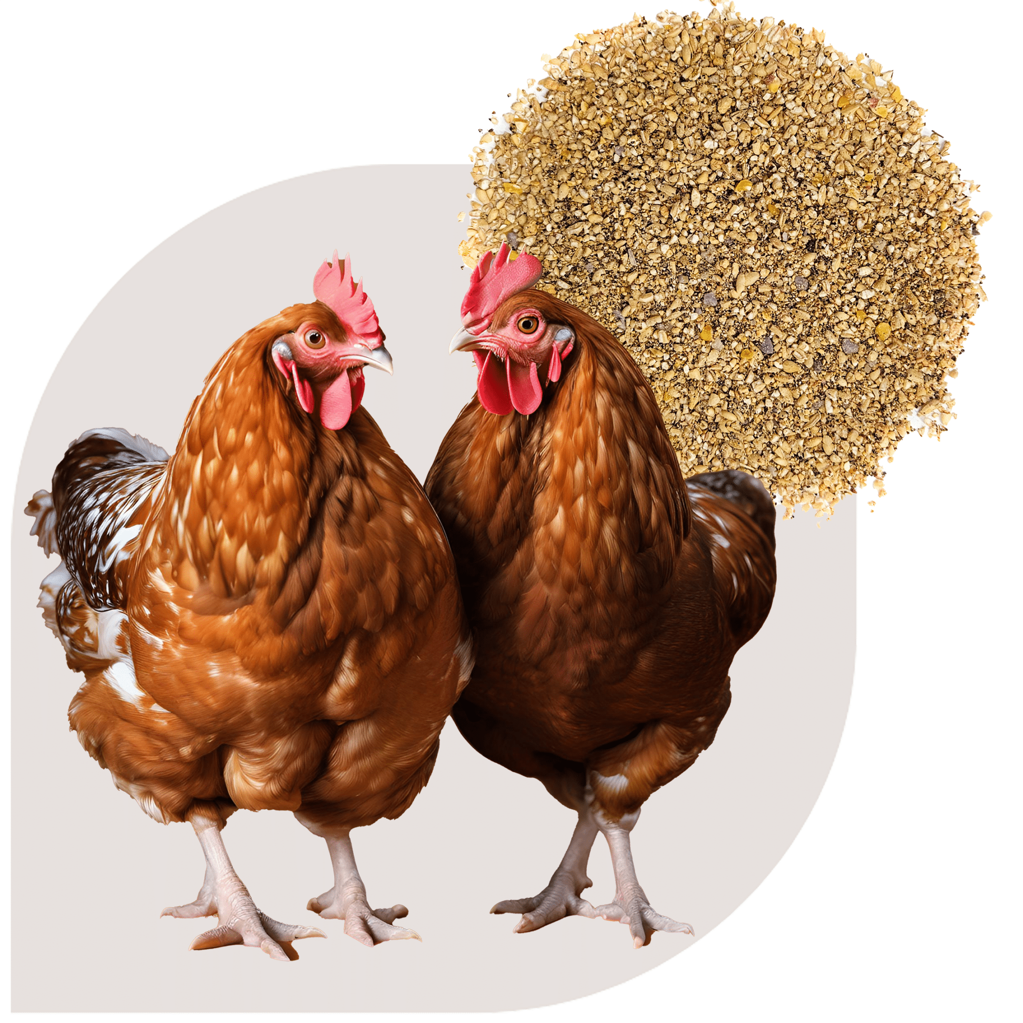 Ultra Layer Mash Bulk | csg