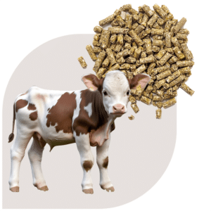Calf Starter Pellet Bulk | csg