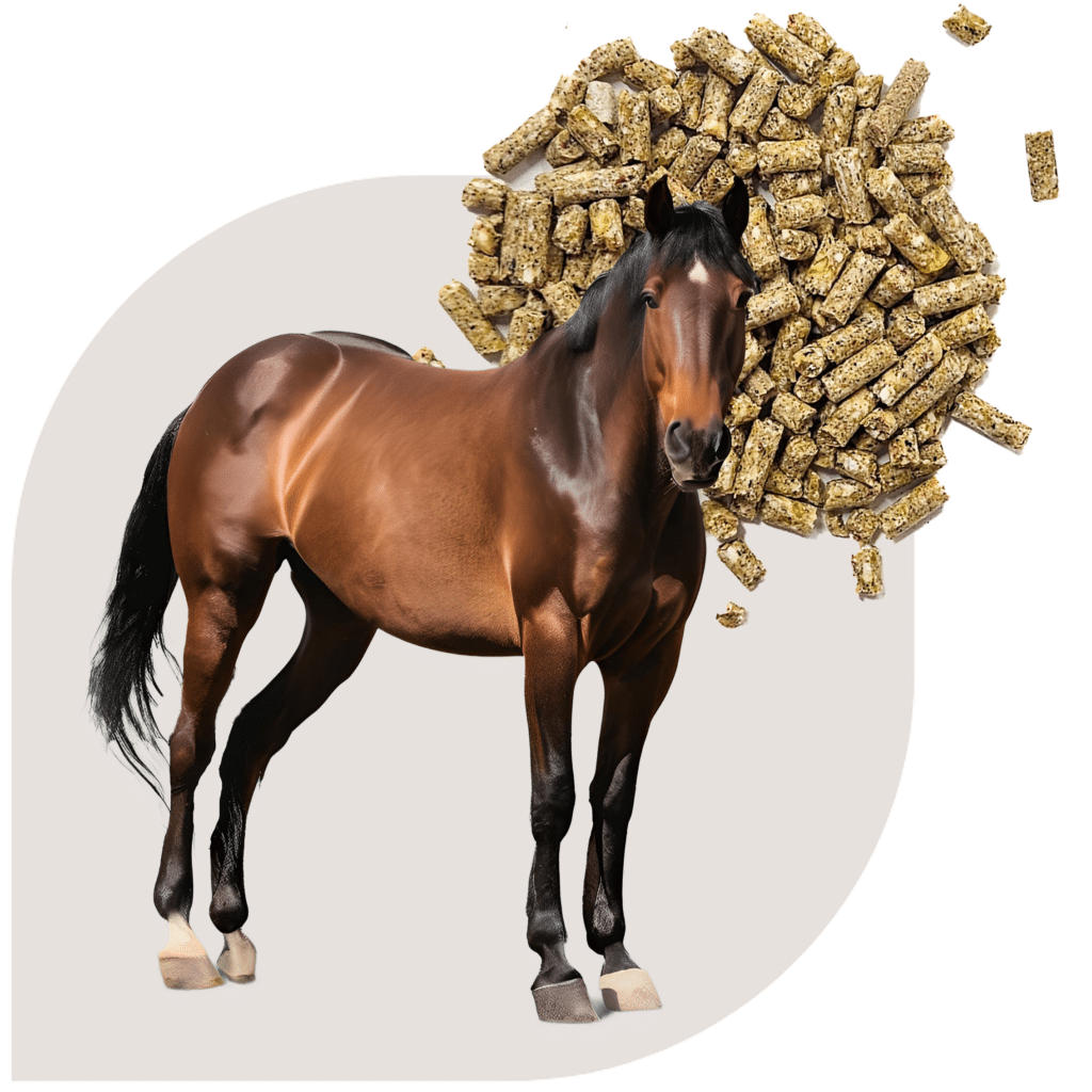 All Purpose Pellet Bulk | csg