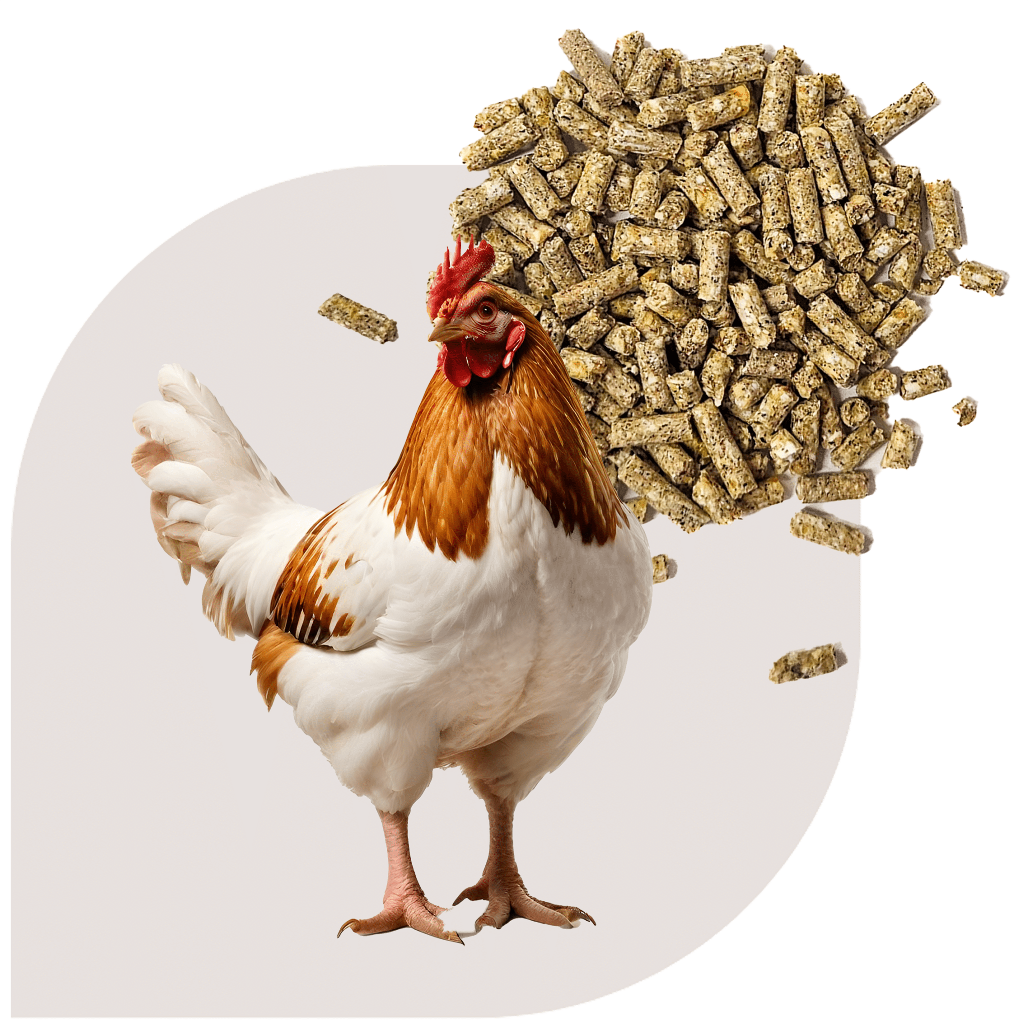 Balanced Layer Pellet Bulk | csg