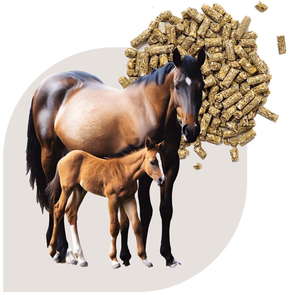 All Purpose Pellet Bulk | csg