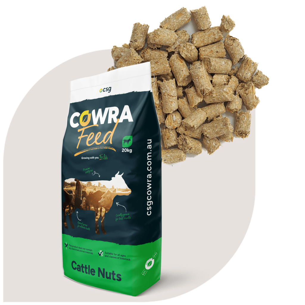 Cattle Nuts | csg