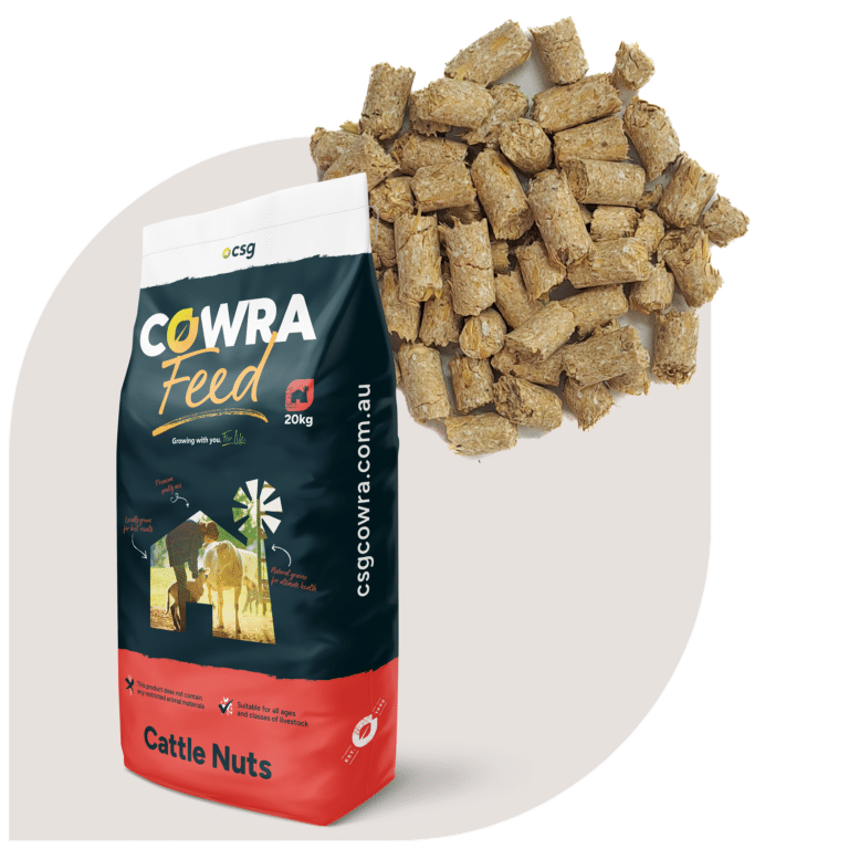 Cattle Nuts | csg