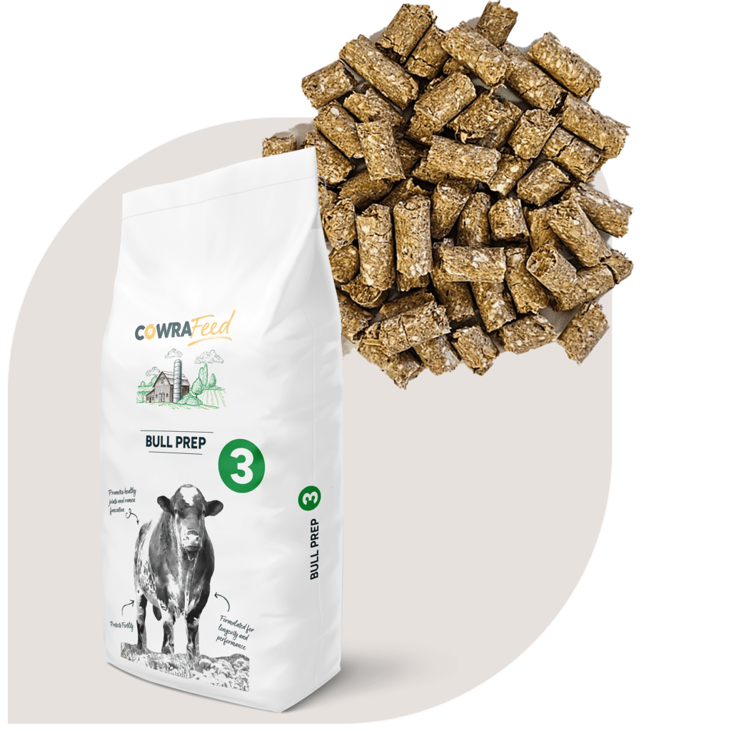 Bull Prep 3™ | csg